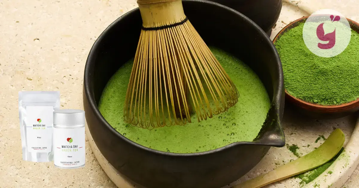 Nejlepší matcha: podle čeho ho vybrat + recenze produktů