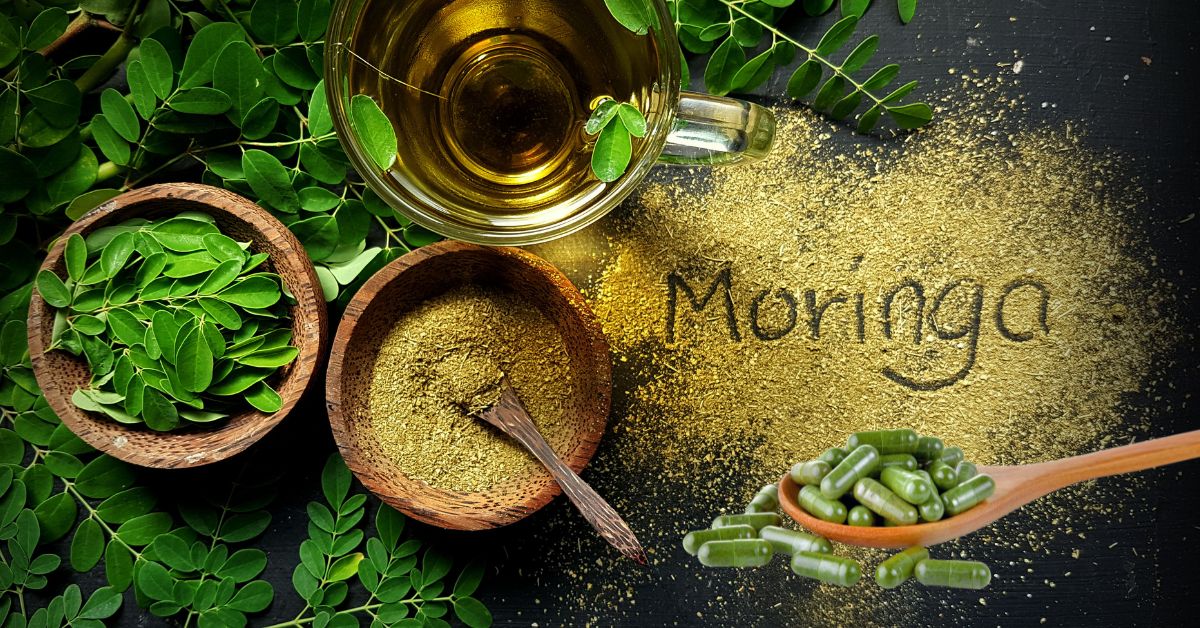 Co je moringa a jaké má účinky na zdraví? + jak ji užívat